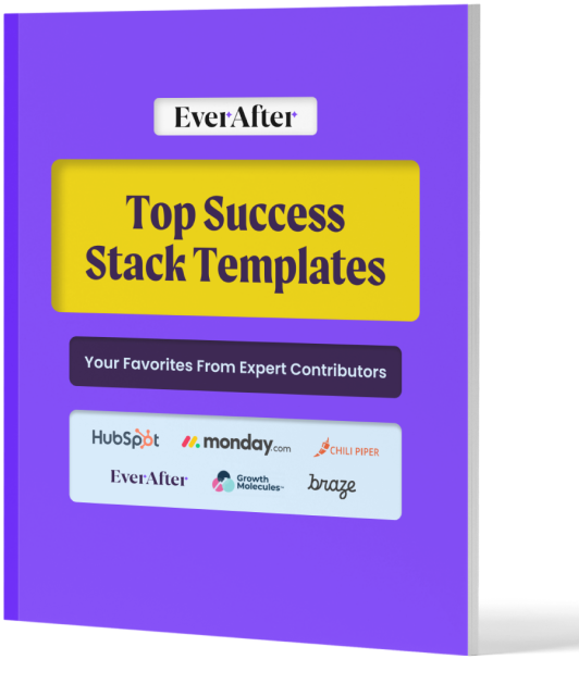 Success Stack eBook | 2024 Template Library | EverAfter